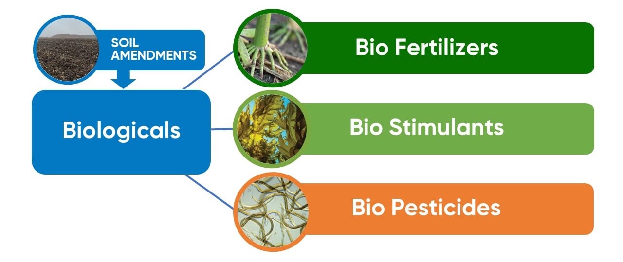 Key Questions To Ask Before Investing in Biologicals