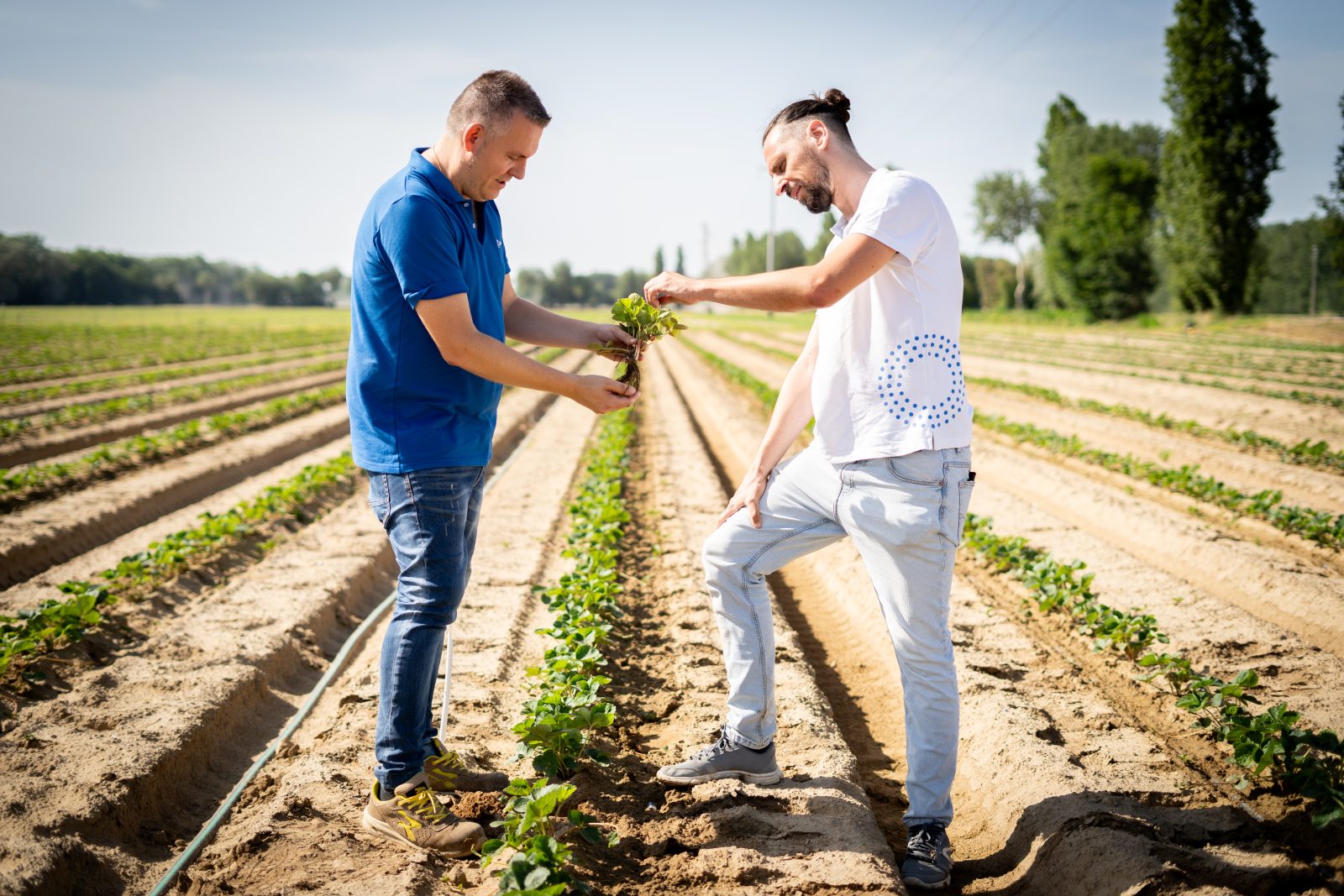 TIMAC AGRO News